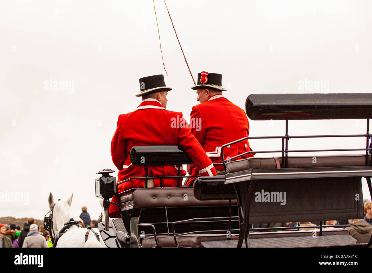 Two white horses with Landau carriage driven by two coachmen in red ...