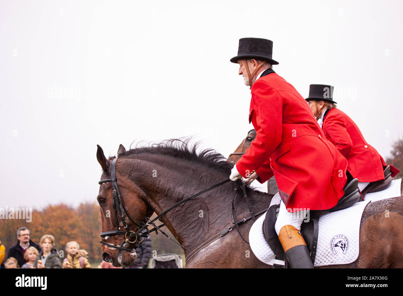 Riders in red uniforms during a fox hunt. Equestrian sport in a public ...