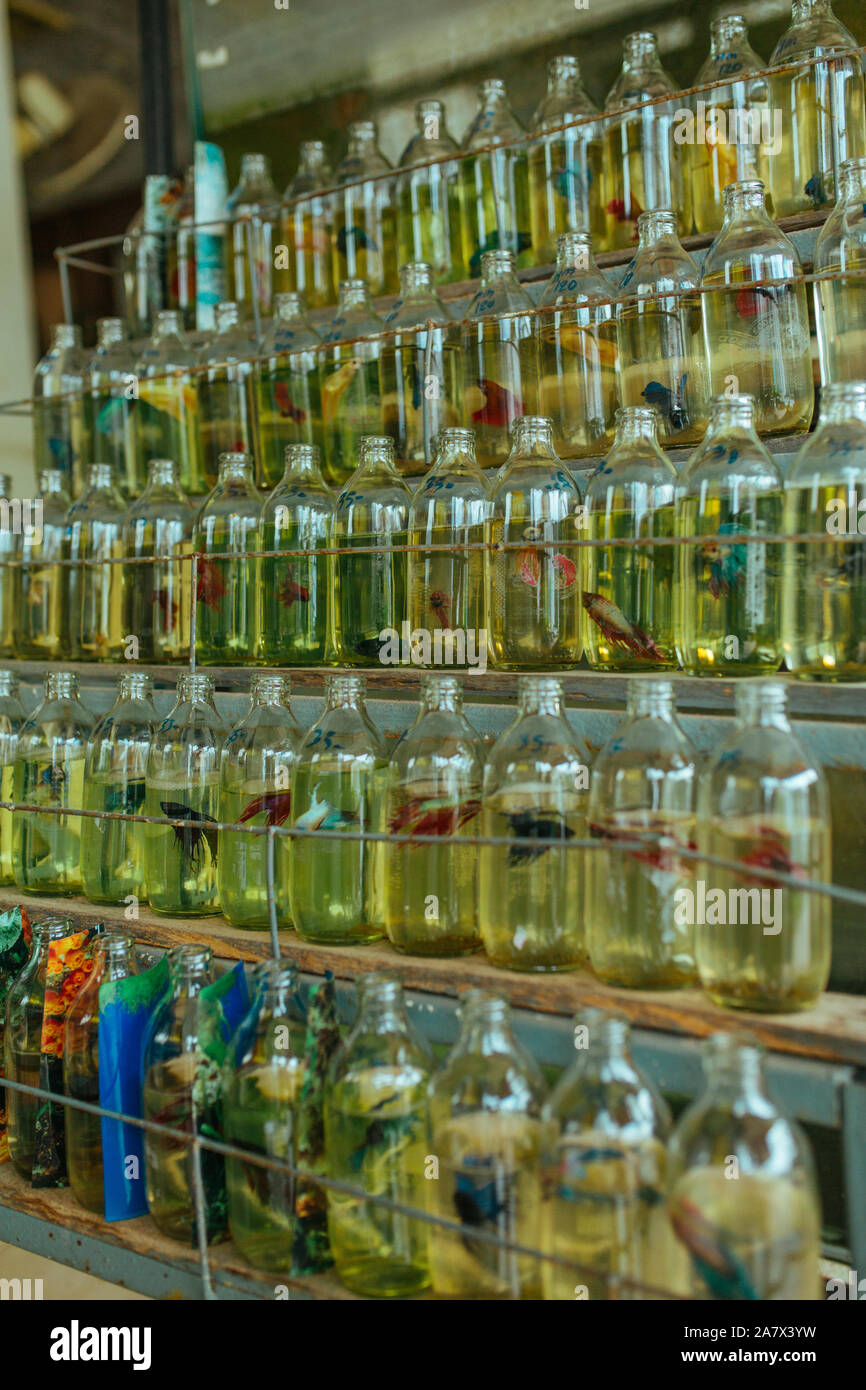 Artificial Reef Thailand High Resolution Stock Photography and Images ...