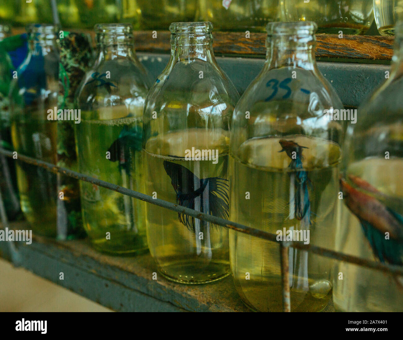 Juvenile prison thailand hi-res stock photography and images - Alamy