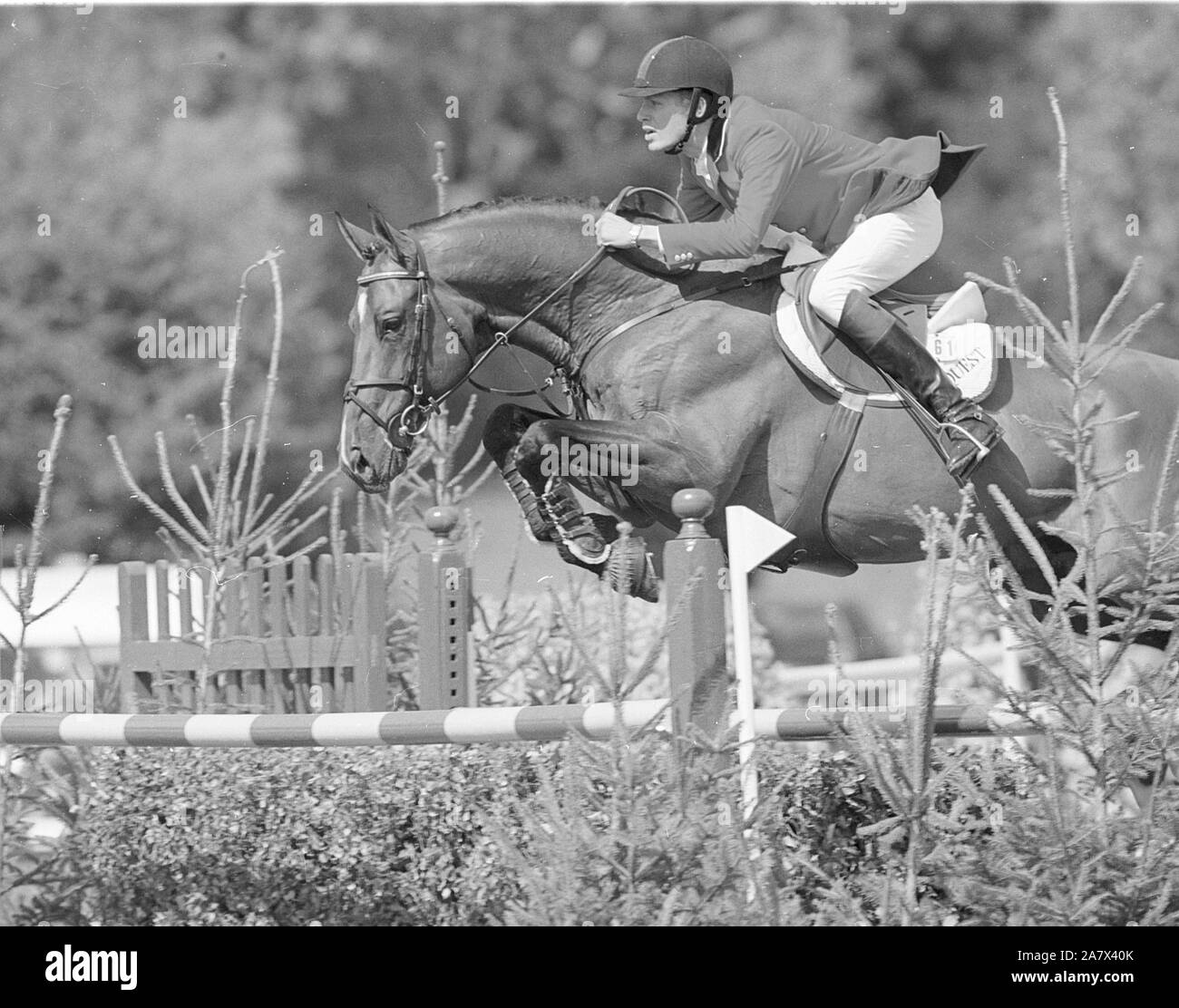 European Championships, Hickstead, August 1999 Thomas Velin (DEN ...