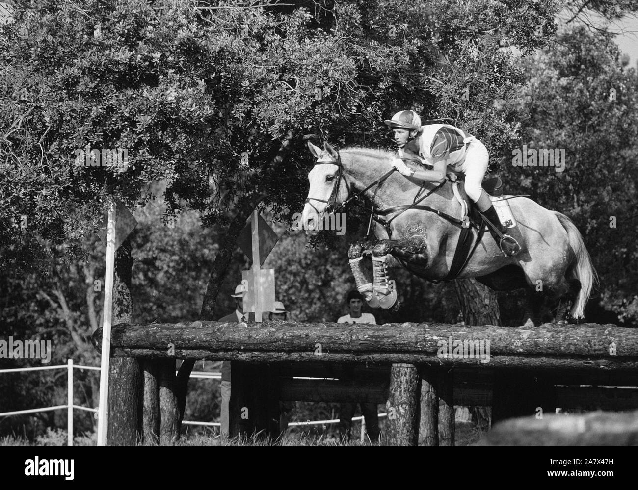 Olympic Games Barcelona 1992, David Green (AUS) riding Chatsby in the ...