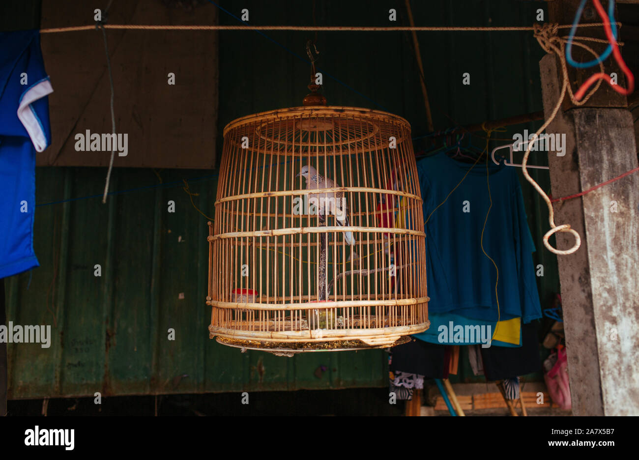 Wicker Cage High Resolution Stock Photography and Images - Alamy