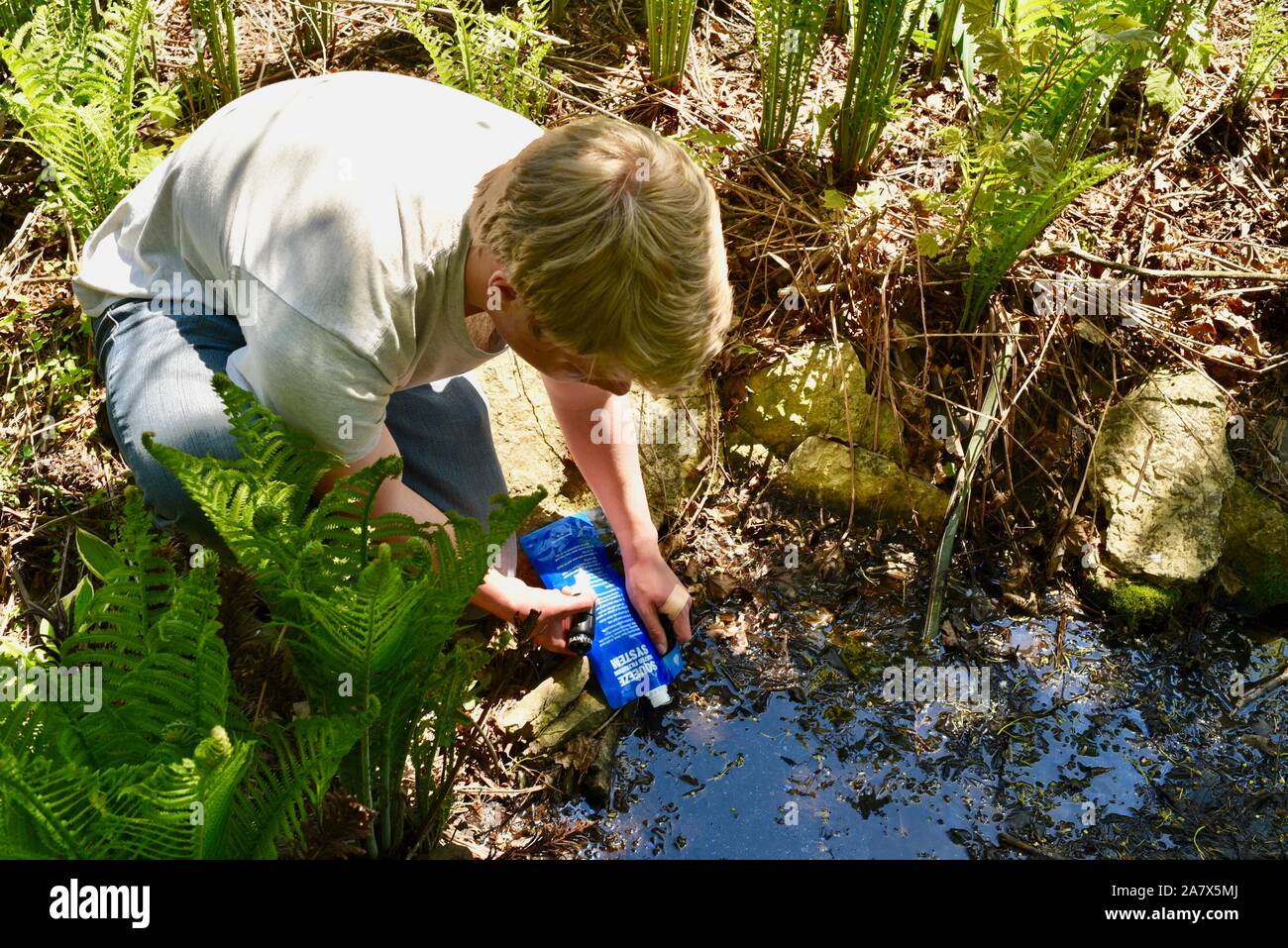 Natural Water Filtration Using Plants