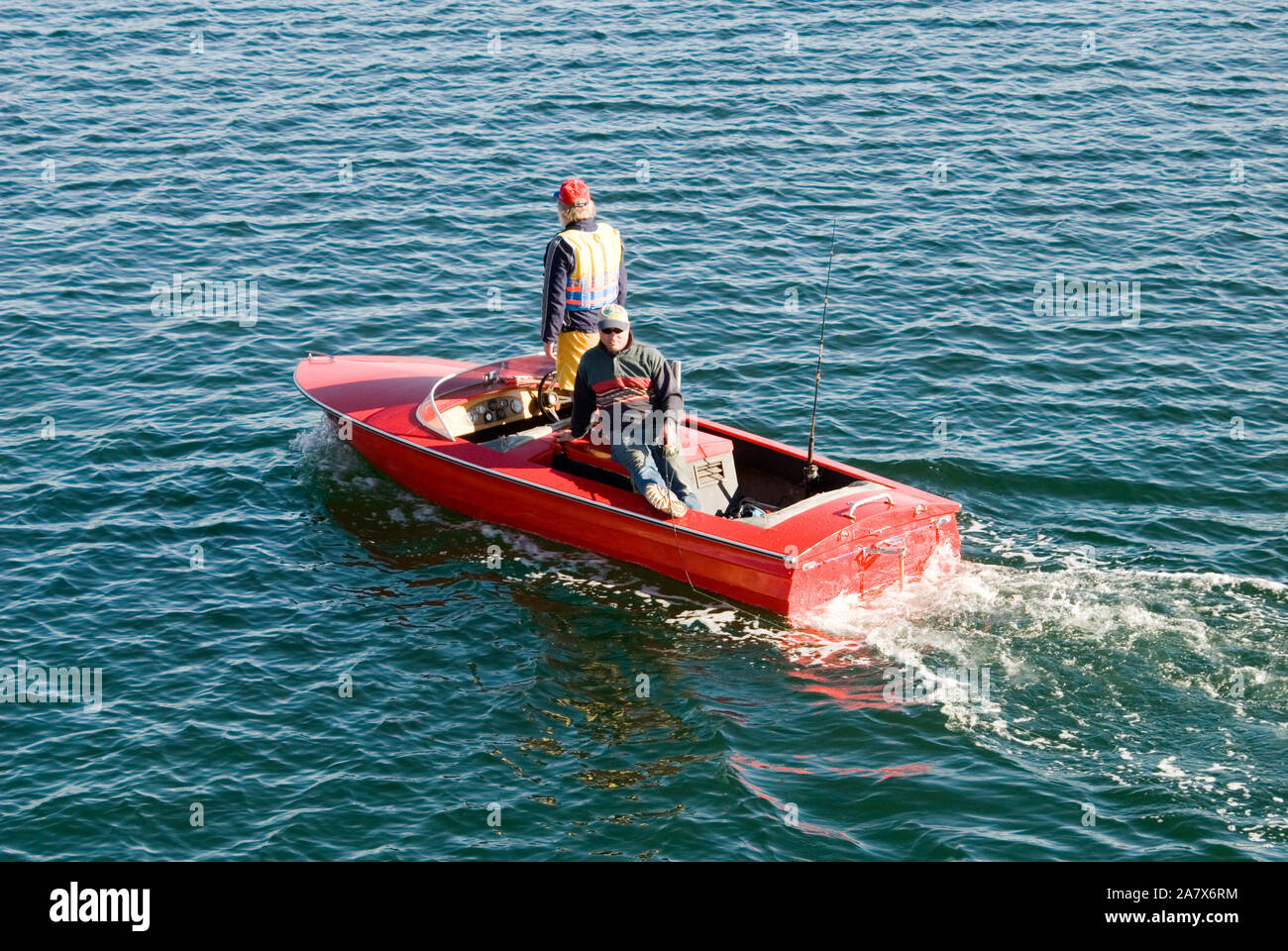 Australian fishes hi-res stock photography and images - Alamy