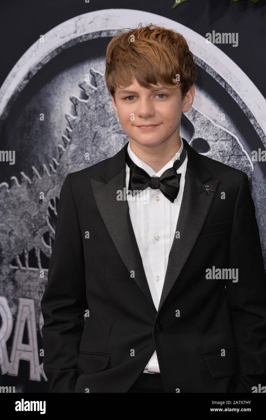 LOS ANGELES, CA - JUNE 10, 2015: Actor Ty Simpkins at the world ...