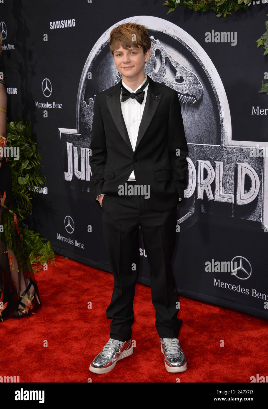 LOS ANGELES, CA - JUNE 10, 2015: Actor Ty Simpkins at the world ...