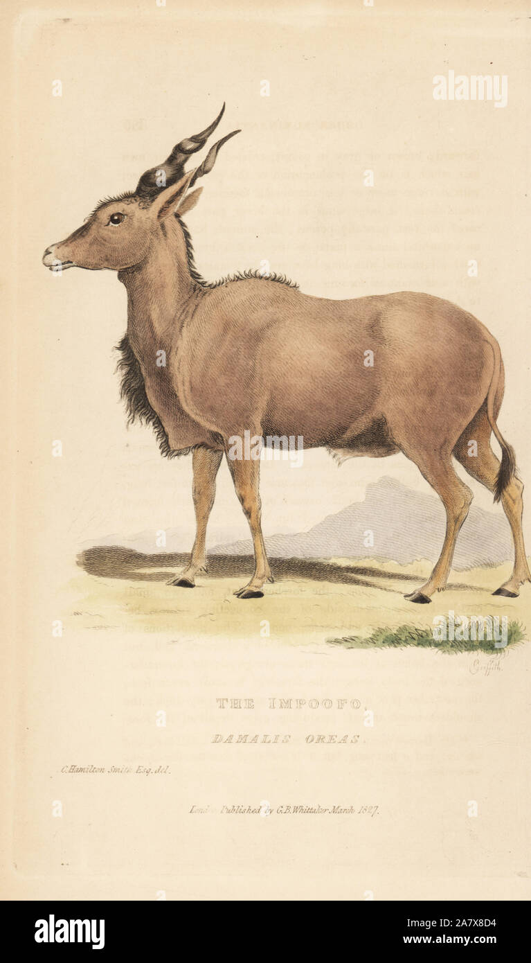 Harriet griffith hi-res stock photography and images - Alamy