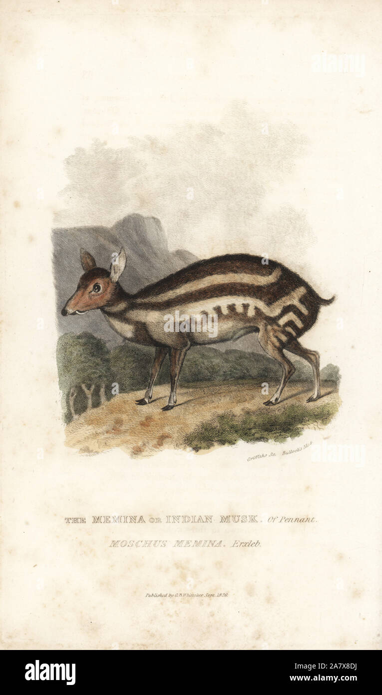 Memina hi-res stock photography and images - Alamy