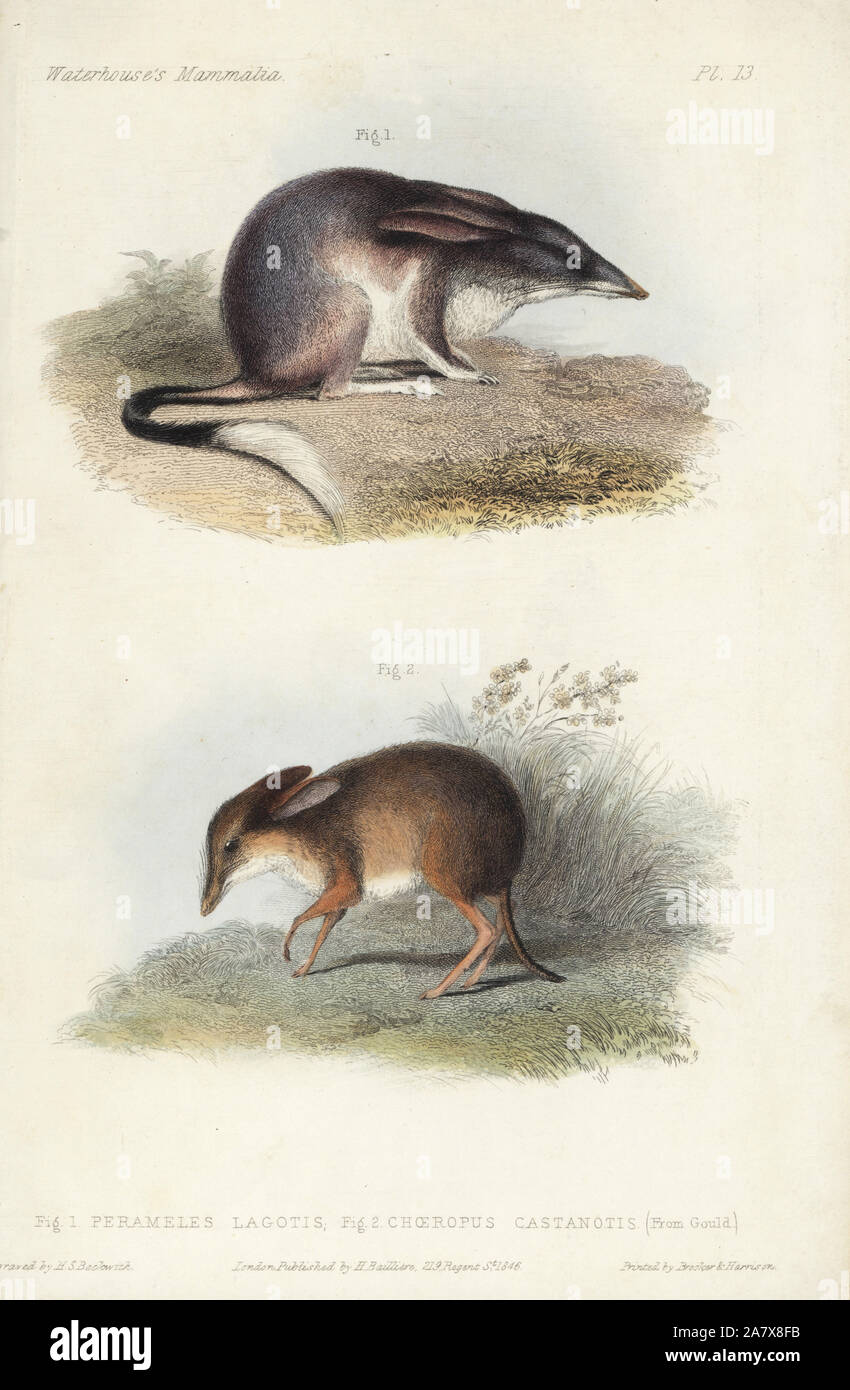 Parameles hi-res stock photography and images - Alamy