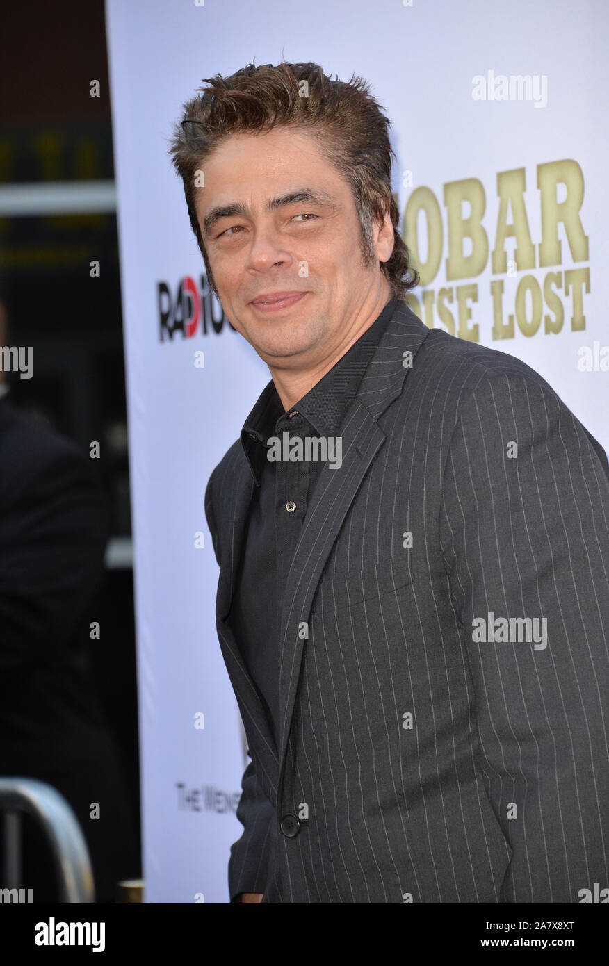 LOS ANGELES, CA - JUNE 22, 2015: Actor Benicio Del Toro at the Los ...