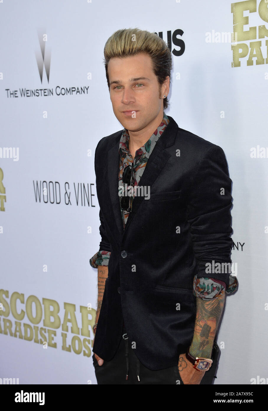 LOS ANGELES, CA - JUNE 22, 2015: Singer Ryan Cabrera at the Los Angeles ...