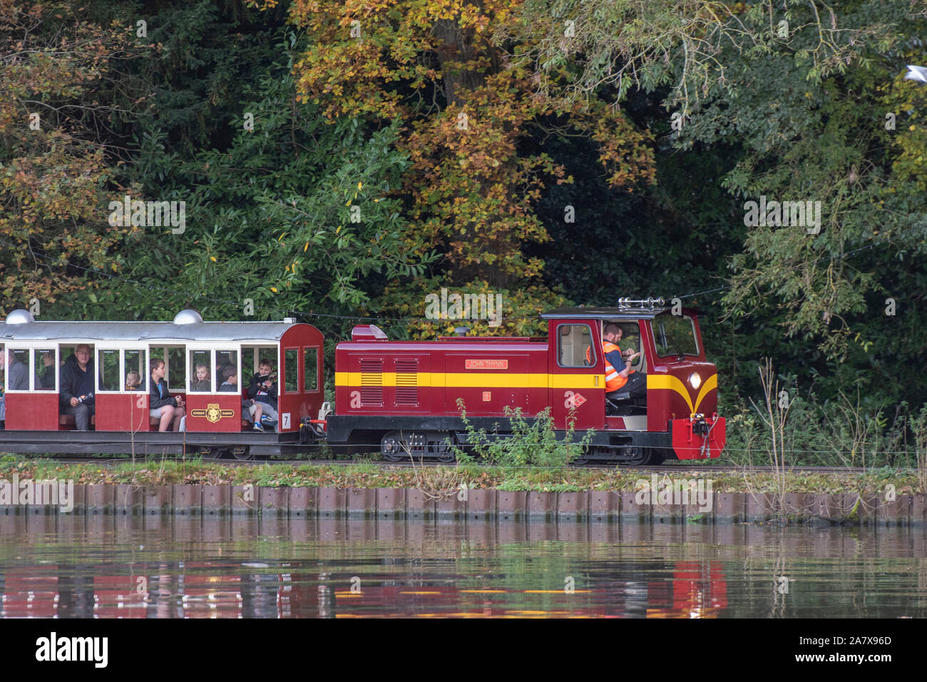 Longleat Safari Park in Wiltshire, UK Stock Photo - Alamy