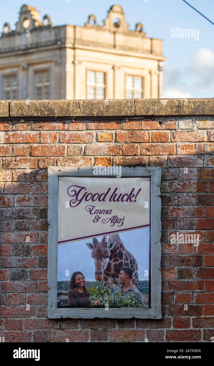 Longleat Safari Park in Wiltshire, UK Stock Photo - Alamy