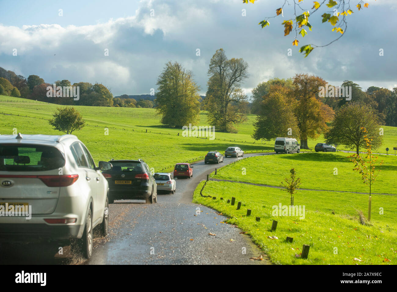 Longleat Safari Park in Wiltshire, UK Stock Photo - Alamy