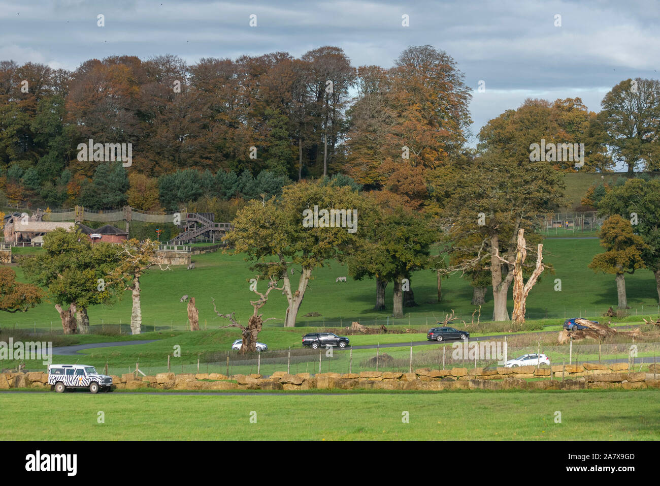 Longleat Safari Park in Wiltshire, UK Stock Photo - Alamy