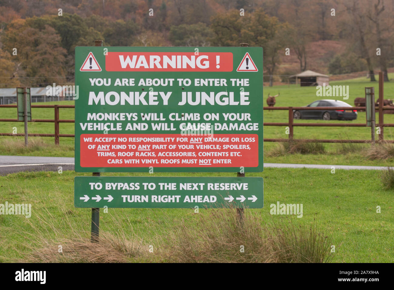Longleat Safari Park in Wiltshire, UK Stock Photo - Alamy