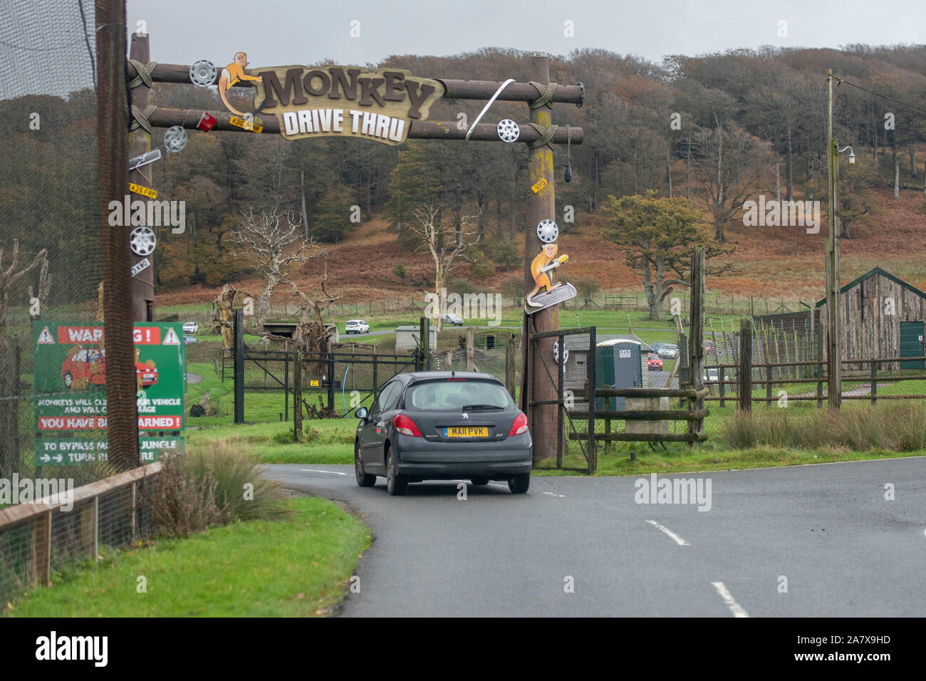 Longleat Safari Park in Wiltshire, UK Stock Photo - Alamy
