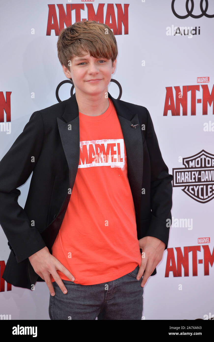 LOS ANGELES, CA - JUNE 29, 2015: Actor Ty Simpkins at the world ...