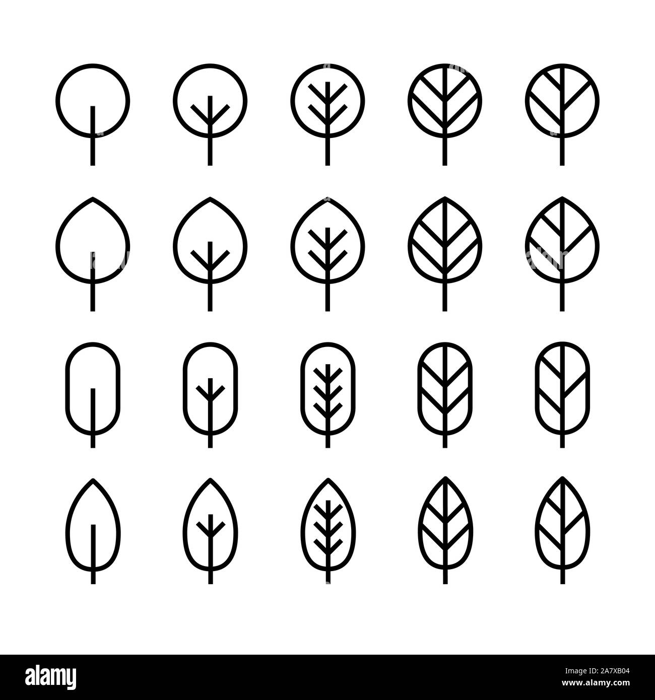 Leaf birch autumn line Black and White Stock Photos & Images - Alamy