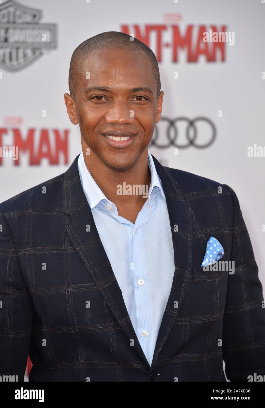 LOS ANGELES, CA - JUNE 29, 2015: Actor J. August Richards at the world ...