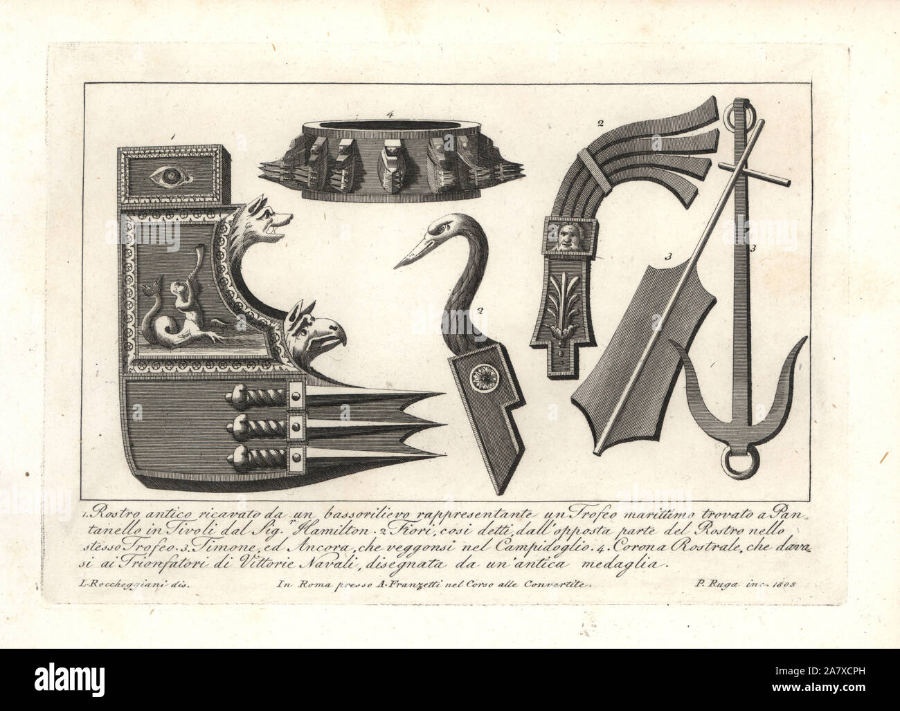 Rudder flower hi-res stock photography and images - Alamy