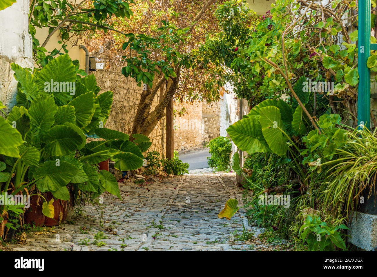 A typical view in Lania in Cyprus Stock Photo - Alamy