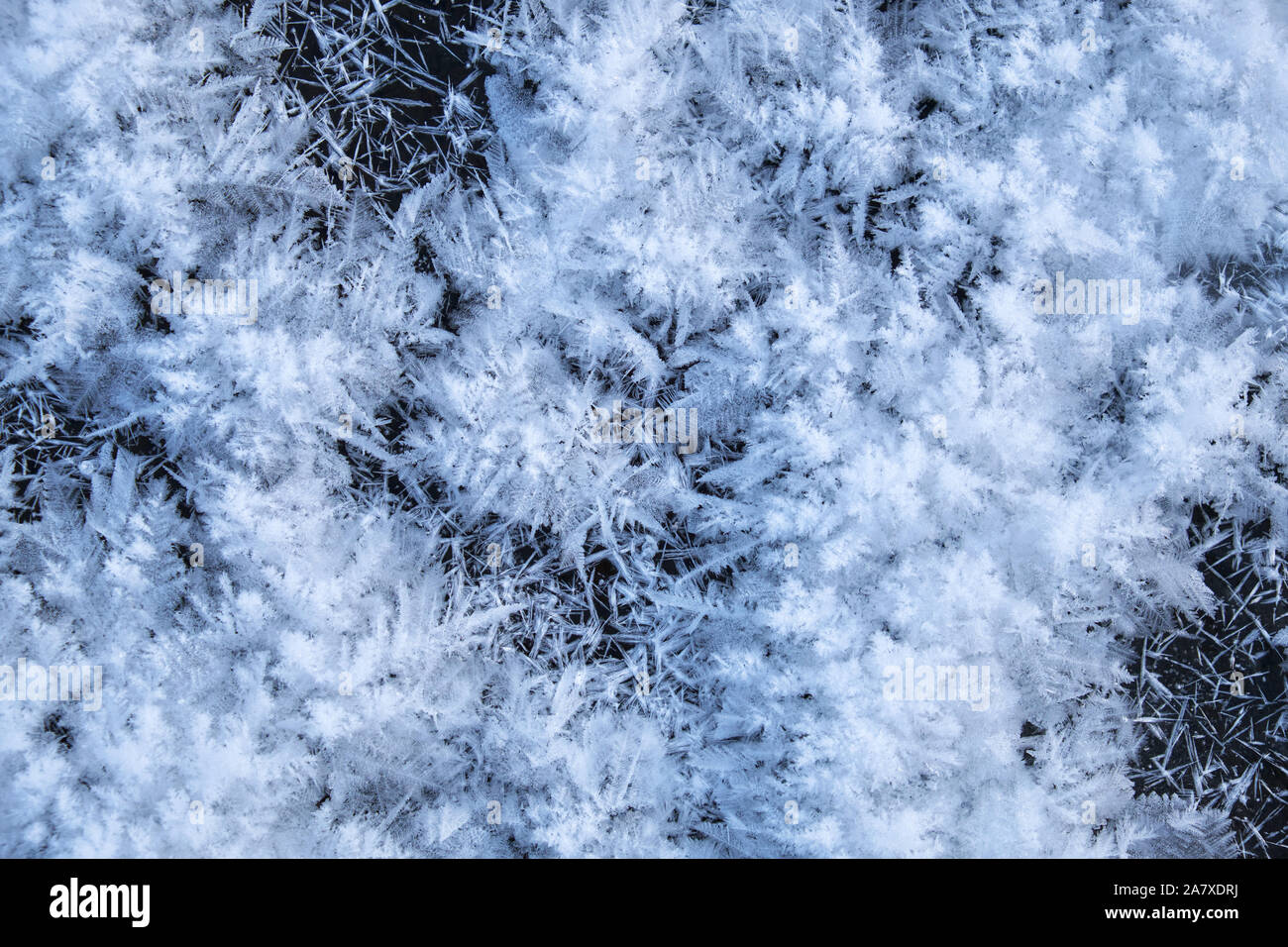 Texture of hoarfrost crystals over ice. Natural winter snow background ...