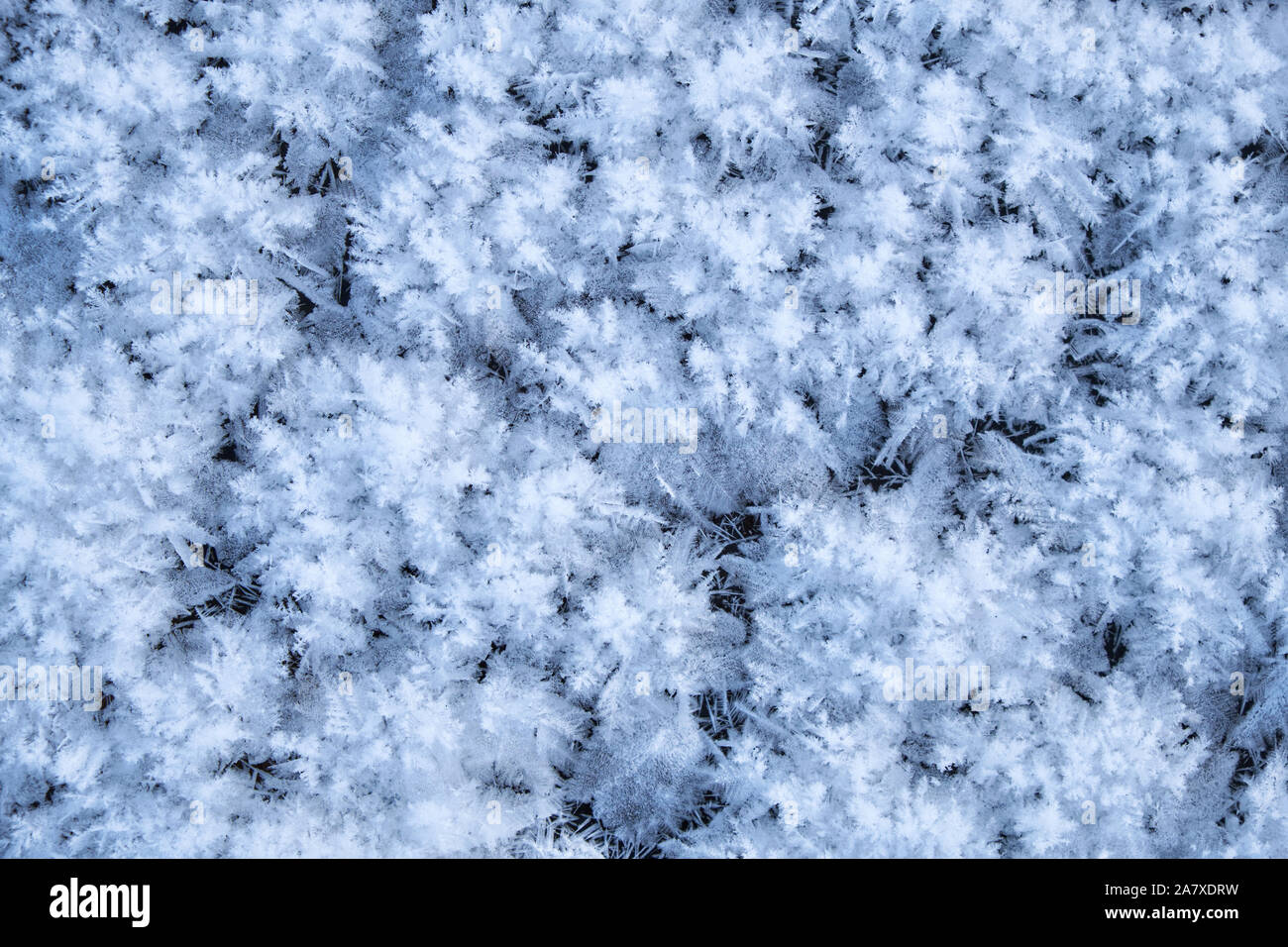 Texture of hoarfrost crystals over ice. Natural winter snow background ...
