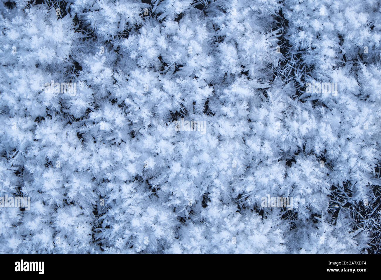 Texture of hoarfrost crystals over ice. Natural winter snow background ...