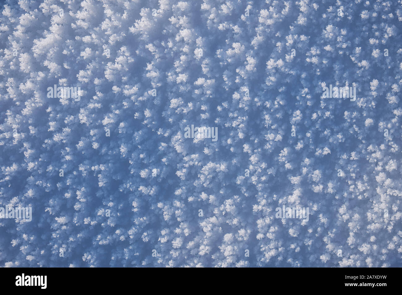 Snow texture. Natural winter background Stock Photo - Alamy