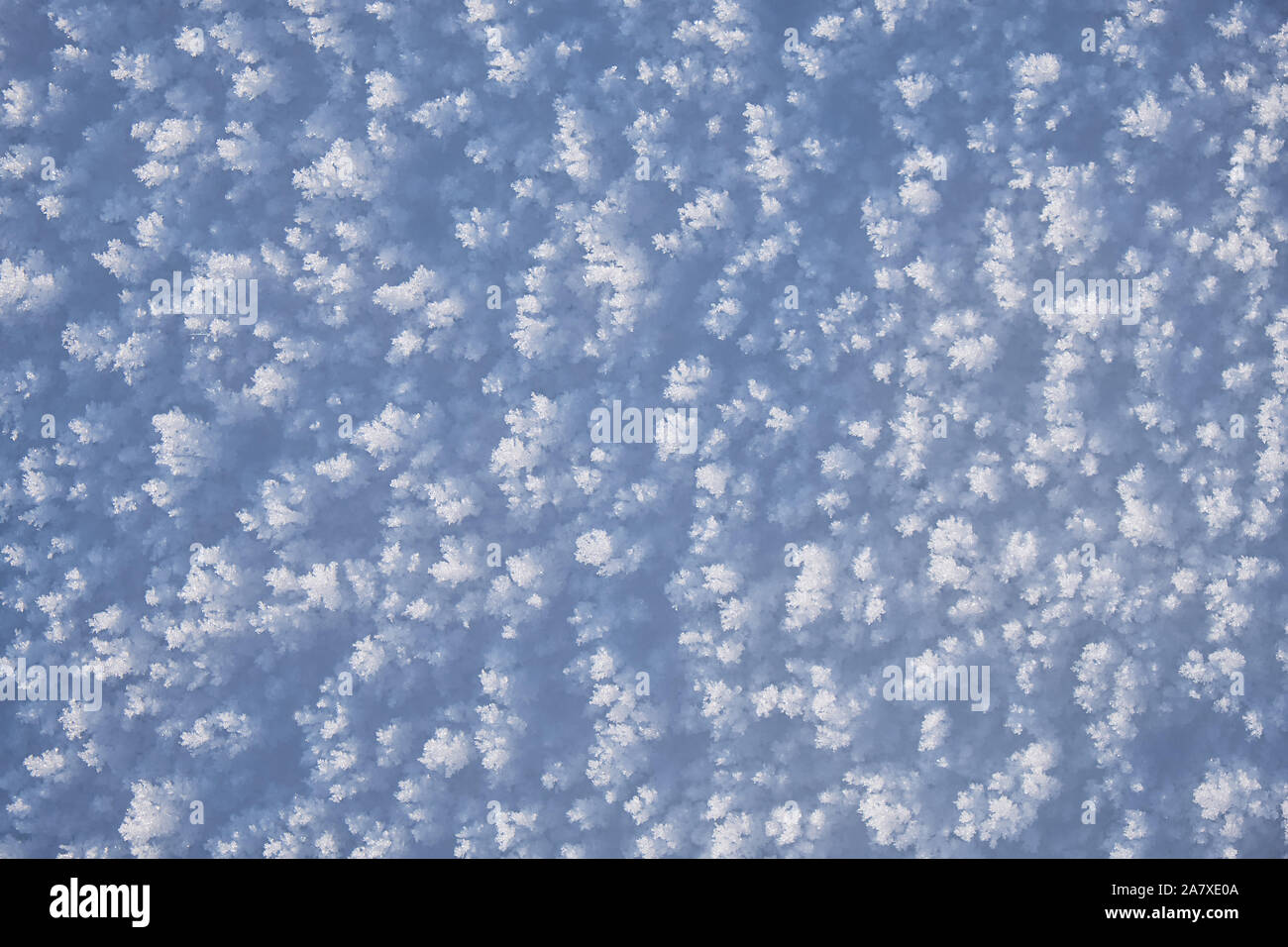 Snow texture. Natural winter background Stock Photo - Alamy