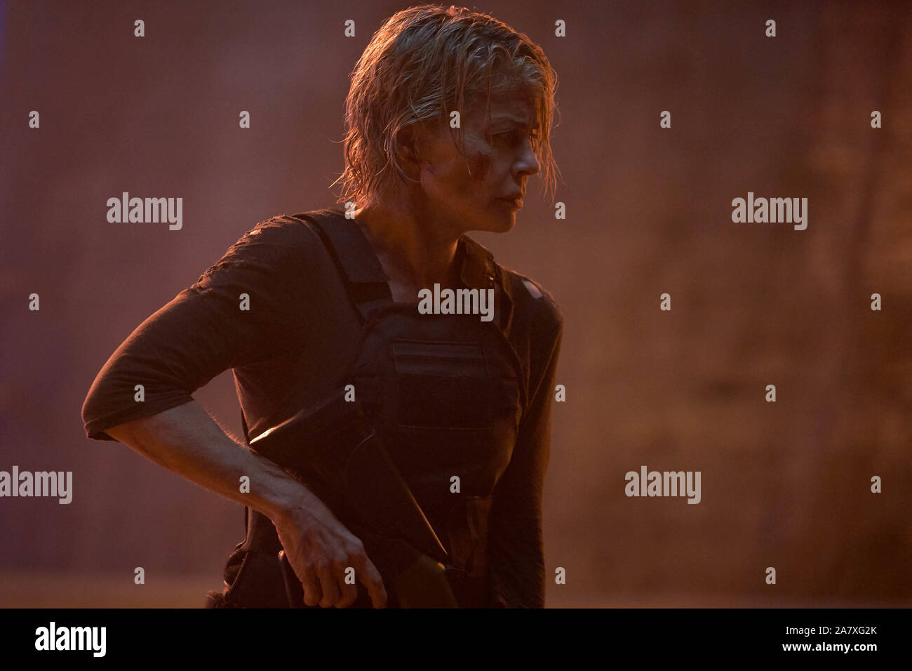 Linda hamilton the terminator hi-res stock photography and images - Alamy