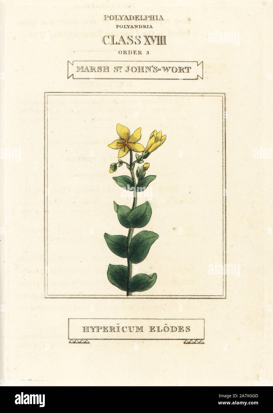 Richard marsh hi-res stock photography and images - Alamy