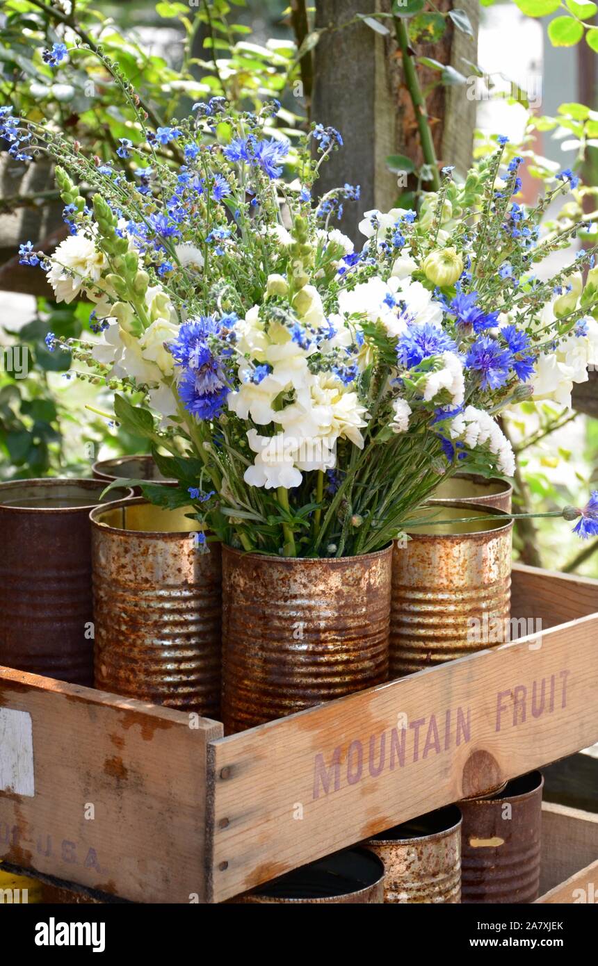 Rusty tin cans full of freshly picked, summer flowers in a wooden crate ...