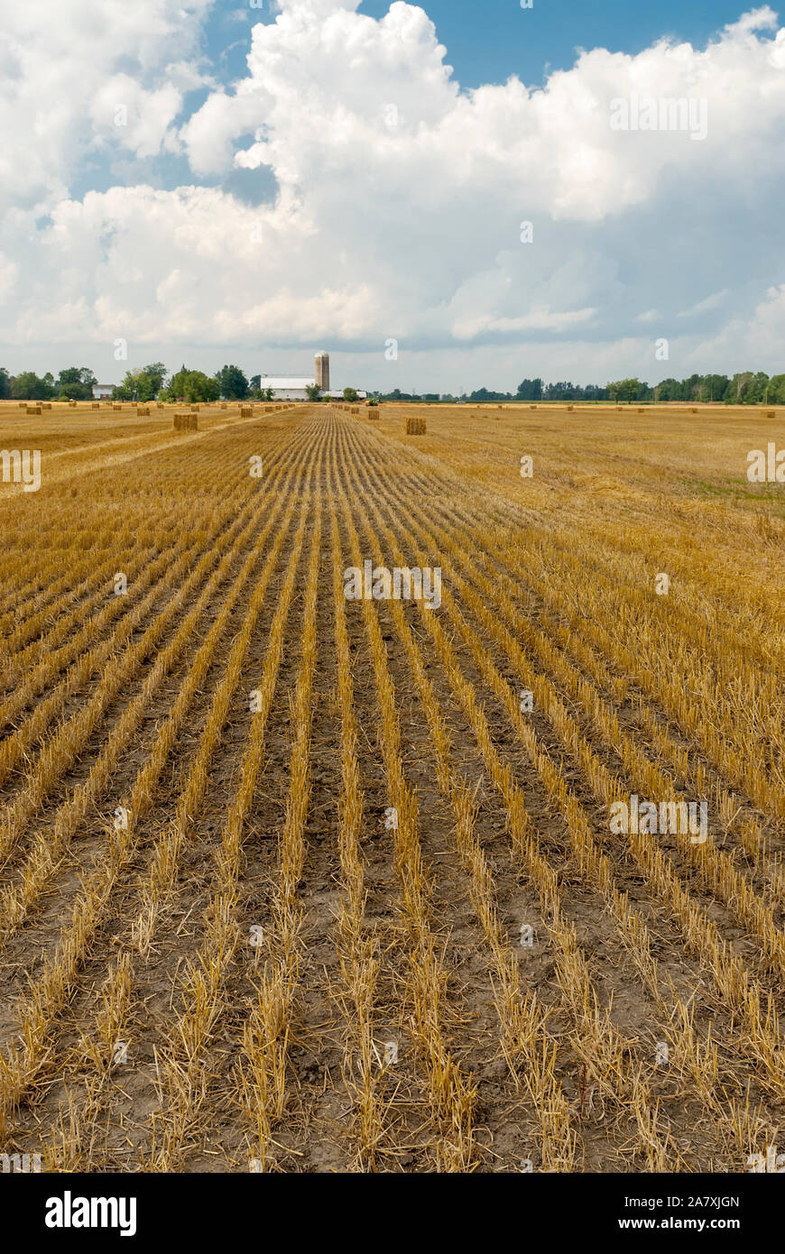 After harvest hi-res stock photography and images - Alamy