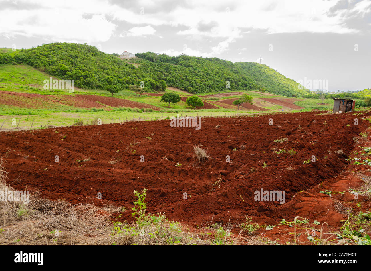 Beautiful jamaican landscape hi-res stock photography and images - Alamy