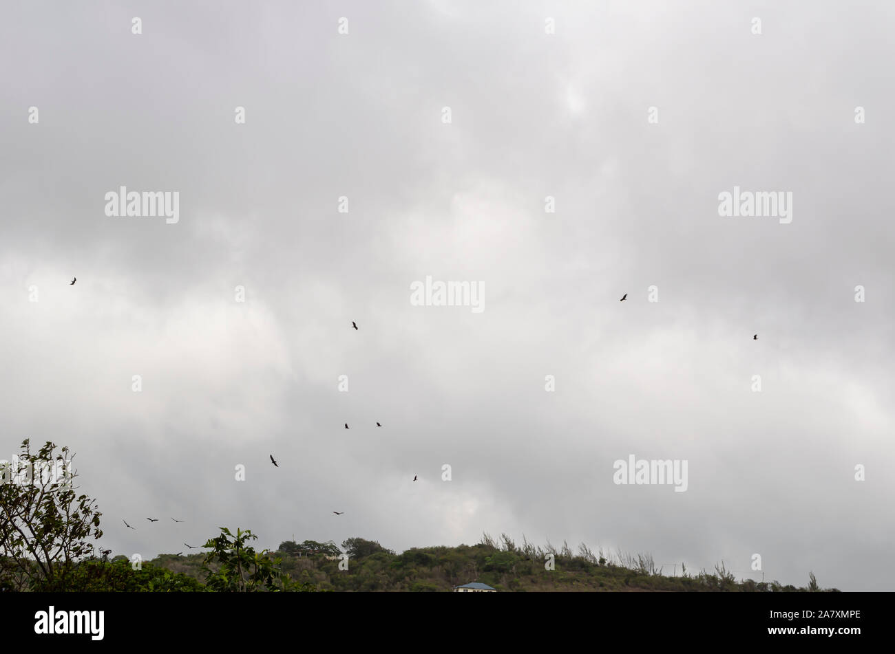 Nimbocumulus clouds hi-res stock photography and images - Alamy