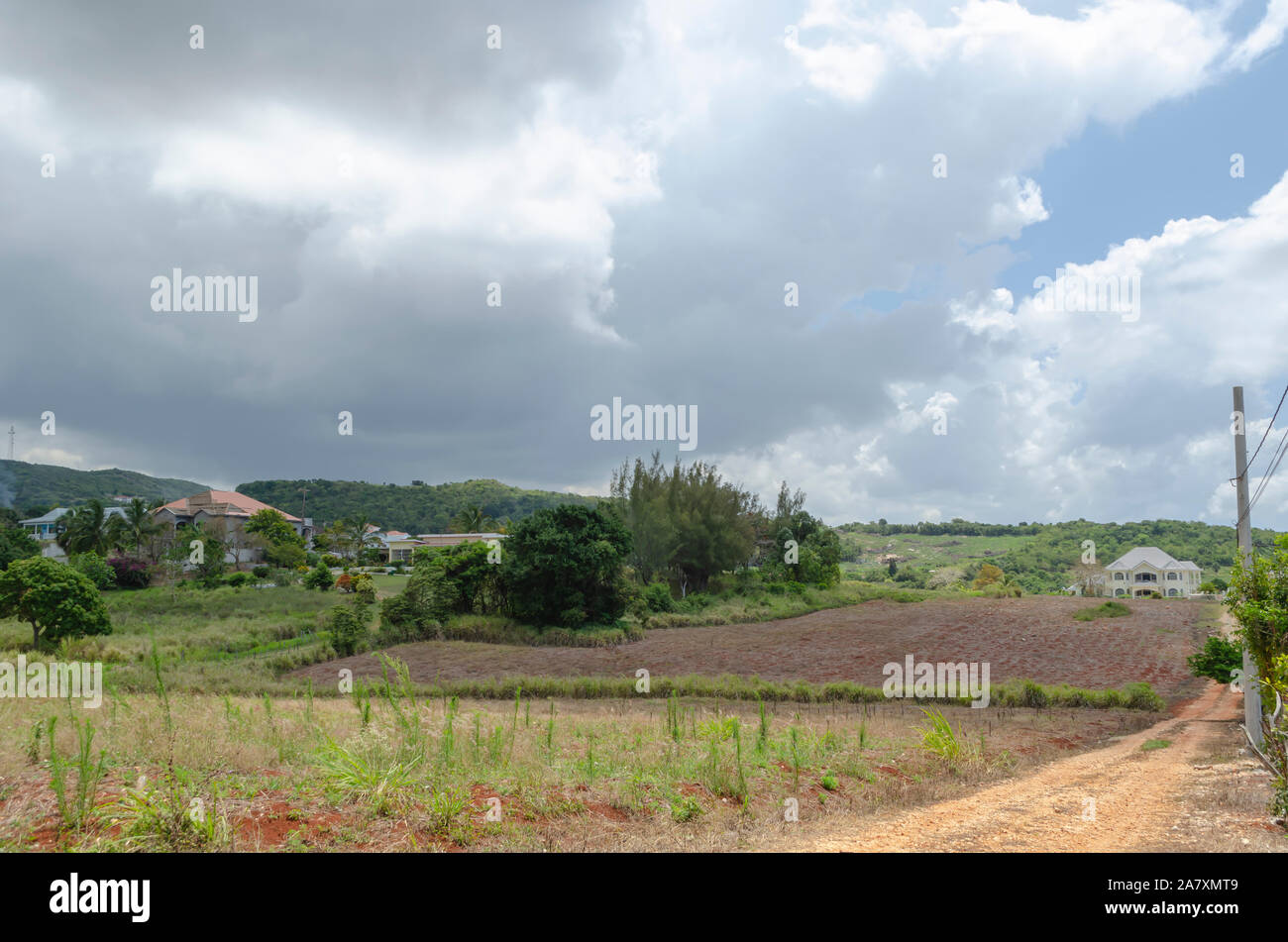Jamaican agriculture hi-res stock photography and images - Alamy