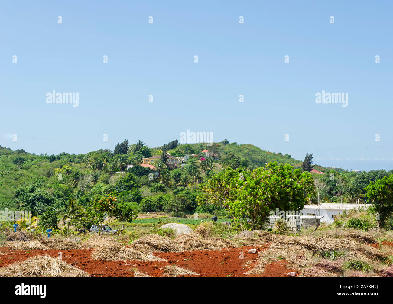 Rural jamaica hi-res stock photography and images - Alamy