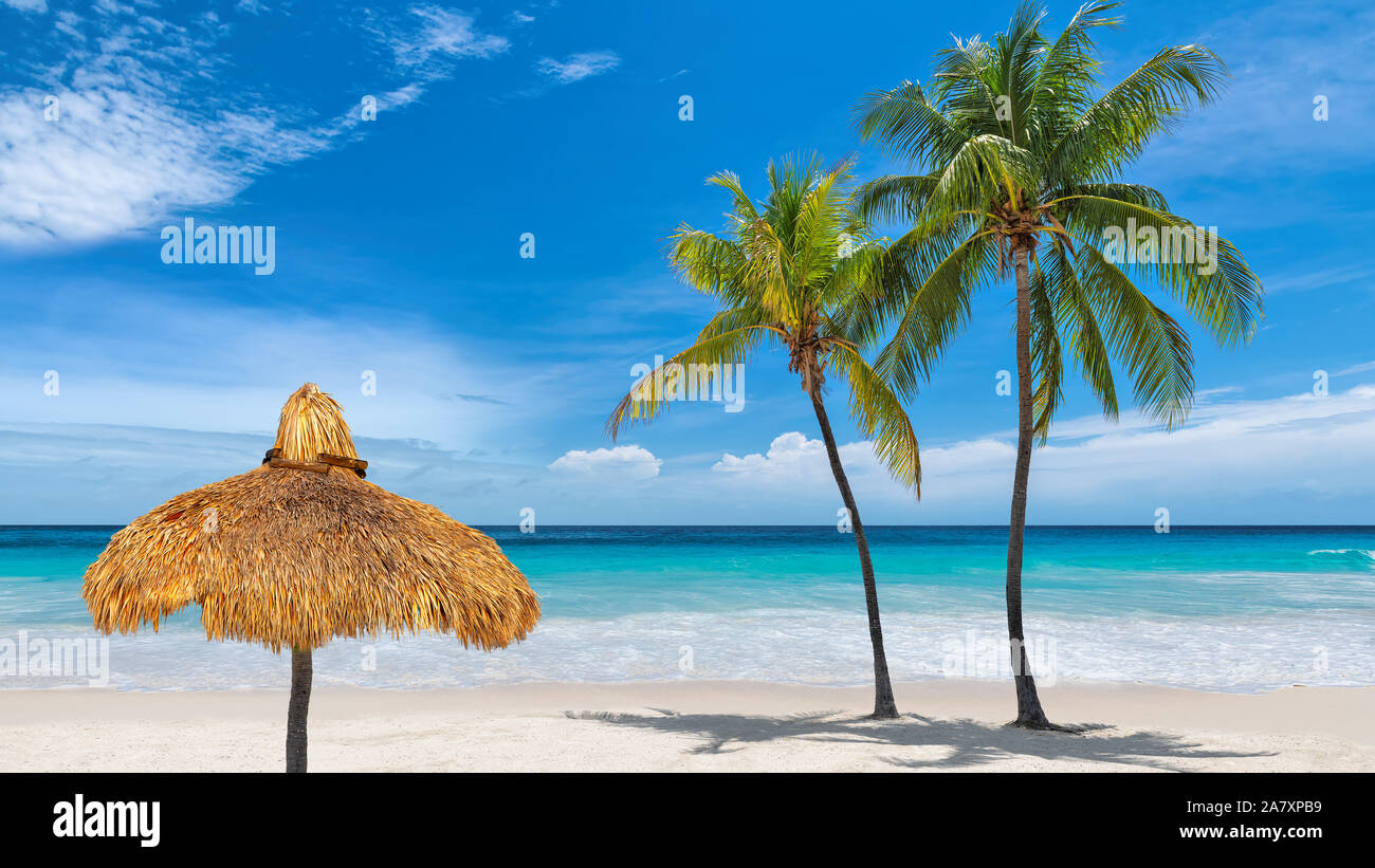Beach umbrella and palm trees in Caribbean island Stock Photo - Alamy