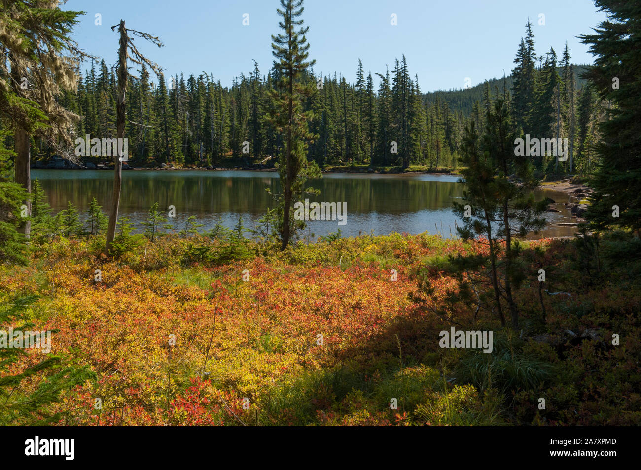 Olallie lake scenic area hi-res stock photography and images - Alamy