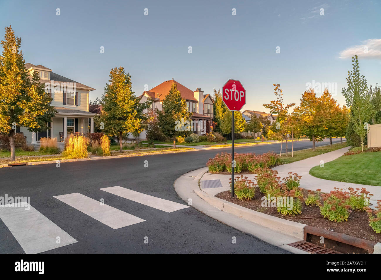 Pedestrian crossing on a road intersection day Stock Photo - Alamy
