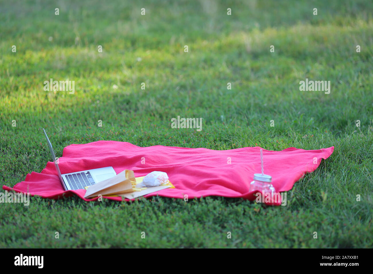 workplace in nature Stock Photo - Alamy