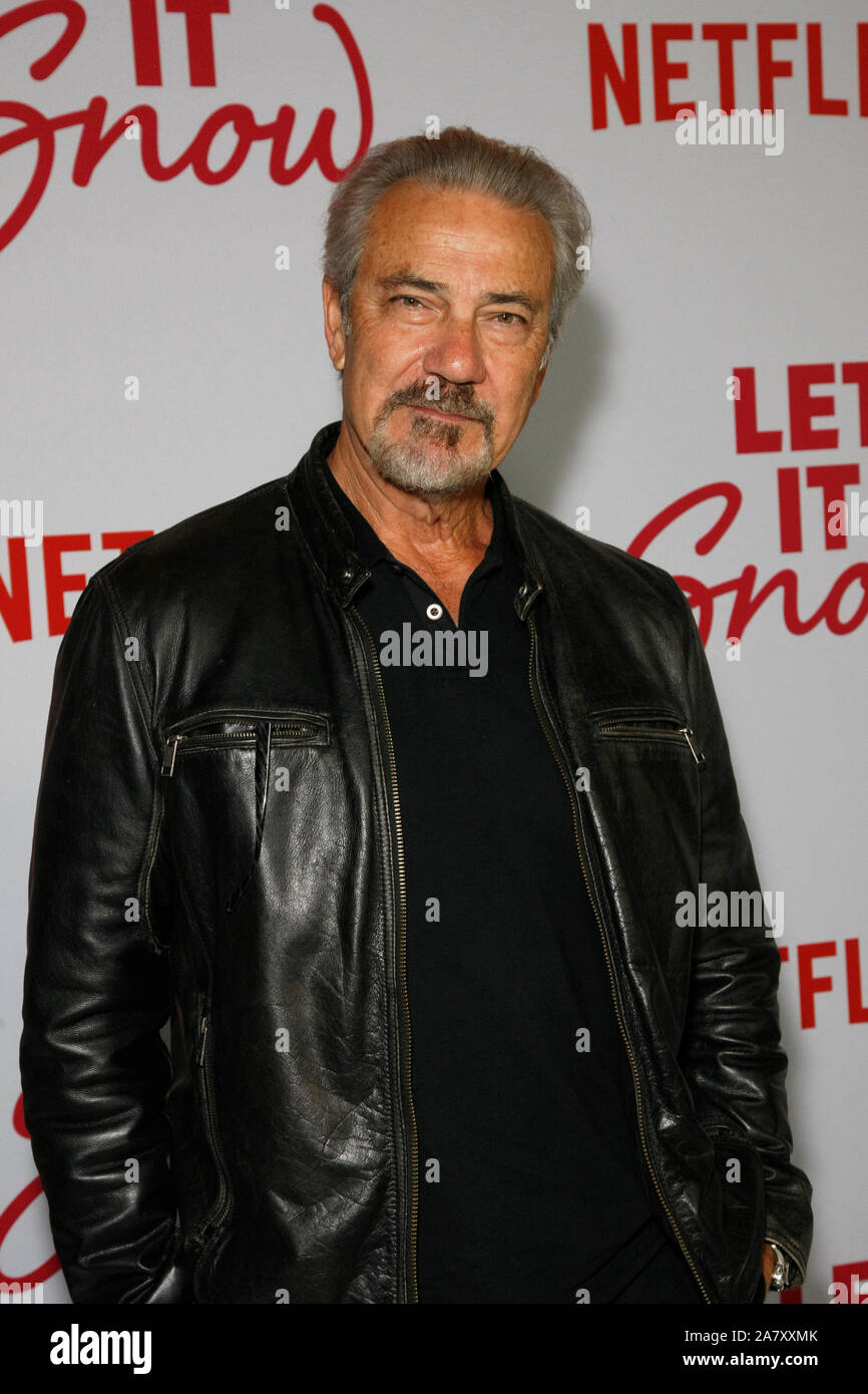 Los Angeles, CA. 4th Nov, 2019. Victor Rivers attends the premiere of ...