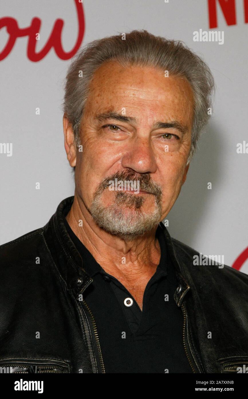 Los Angeles, CA. 4th Nov, 2019. Victor Rivers attends the premiere of ...