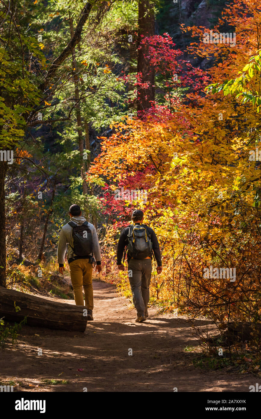 Two male hikers hiking the West Fork Trail #108 Oak Creek near Sedona ...