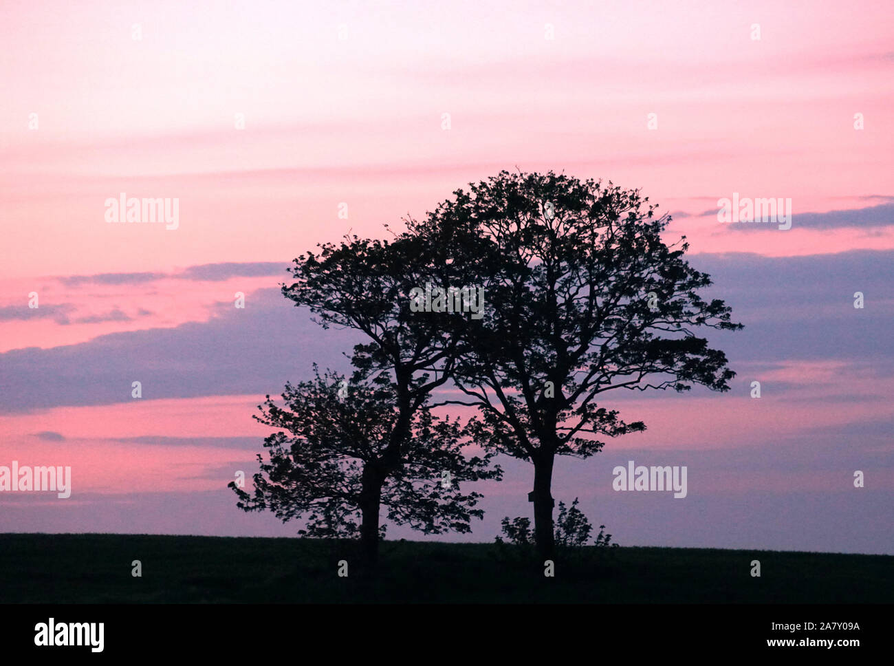 Scalby hi-res stock photography and images - Alamy