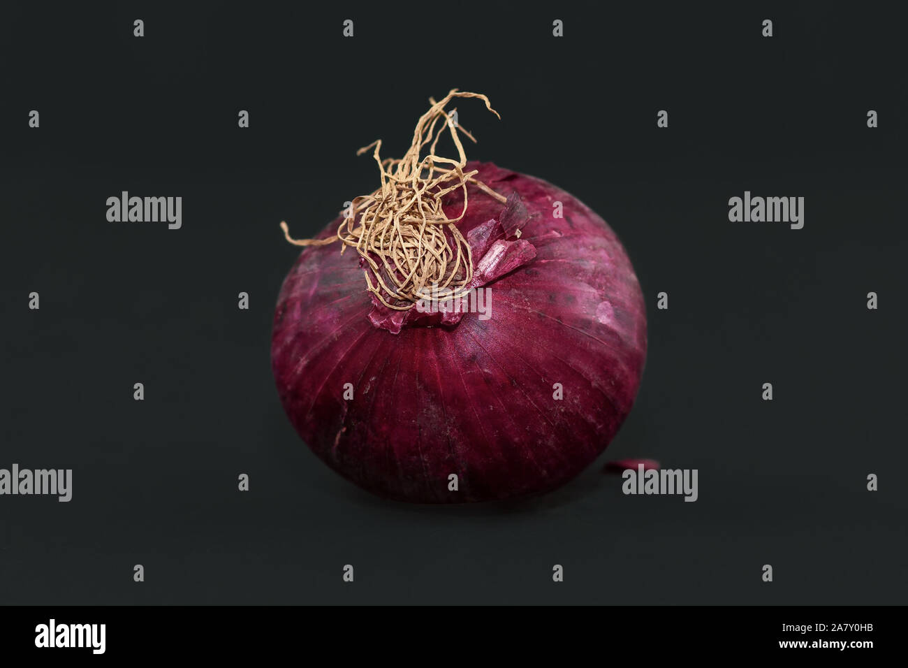 Whole 'Allium Cepa' red onion with purplish-red skin and root on dark ...