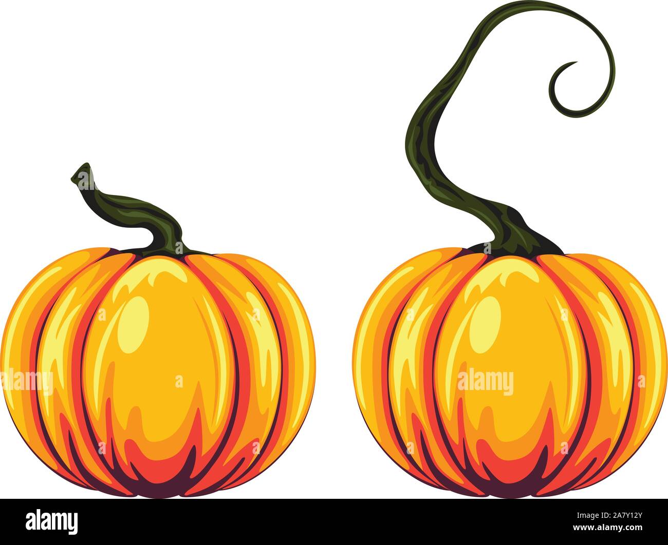 Detailed two pumpkins illustration on white background Stock Vector ...